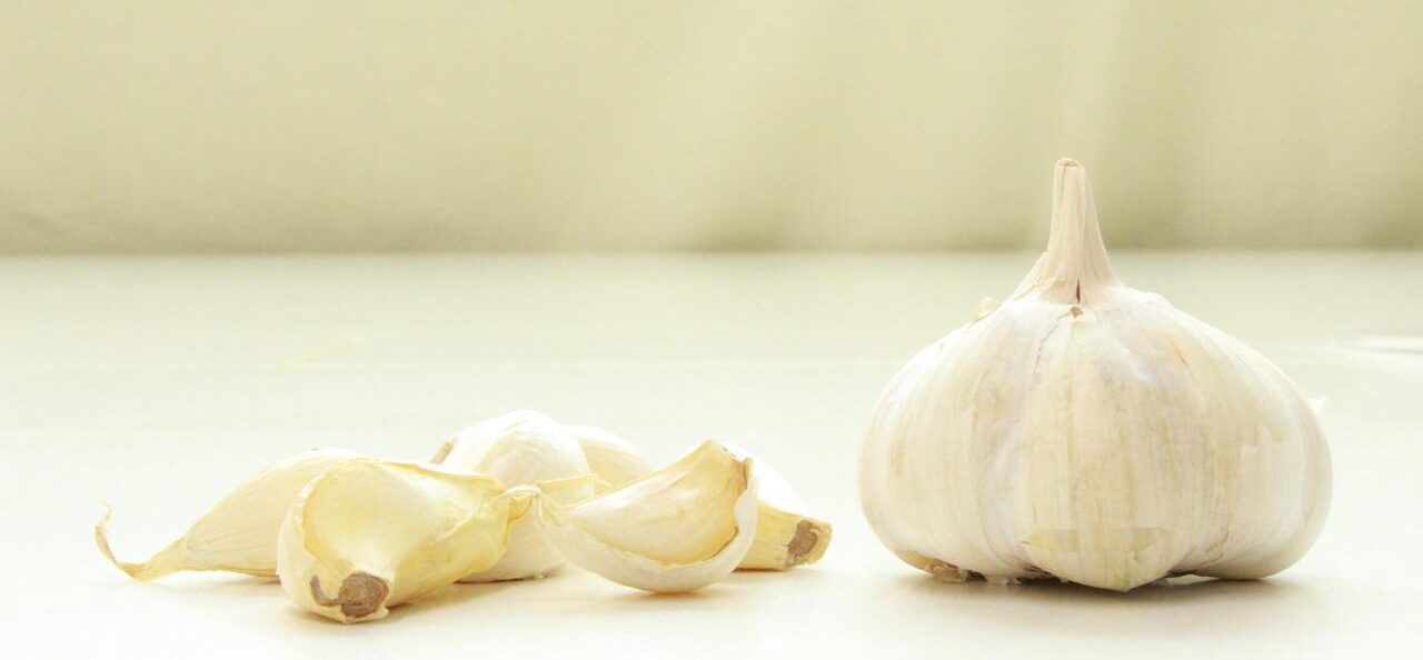 Important Benefits For Garlic In Pigeons To Know - Kabootar Parwari
